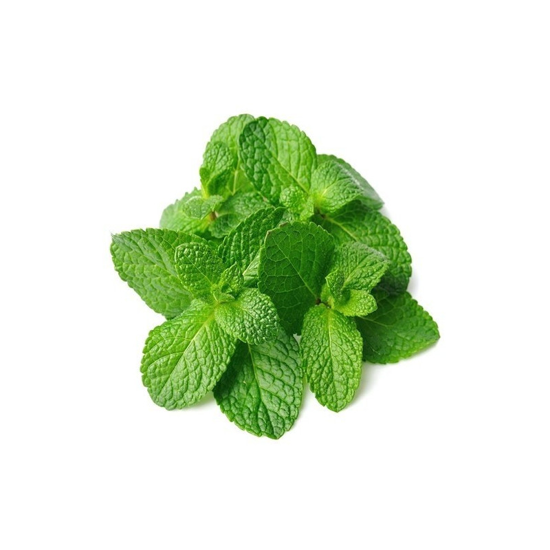 Tigari de foi Senator Midi Viridis Menta tutungerie Senator trabucuri