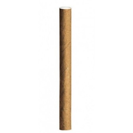 Reduceri Tigari de foi Villiger Red Mini Filter (100)